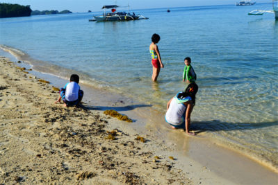 Punta Ballo Beach Resorts and Hotels - Sipalay City, Negros Occidental
