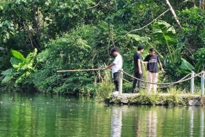 Bantug Lake Ranch Guide 2026: Rates, Activities & Tips