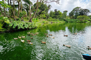 Bantug Lake Ranch Guide 2026: Rates, Activities & Tips